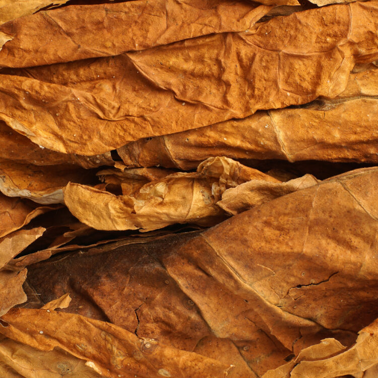 Dark Fire Cured Fronto Leaf (Red Herring) | Leaf Express